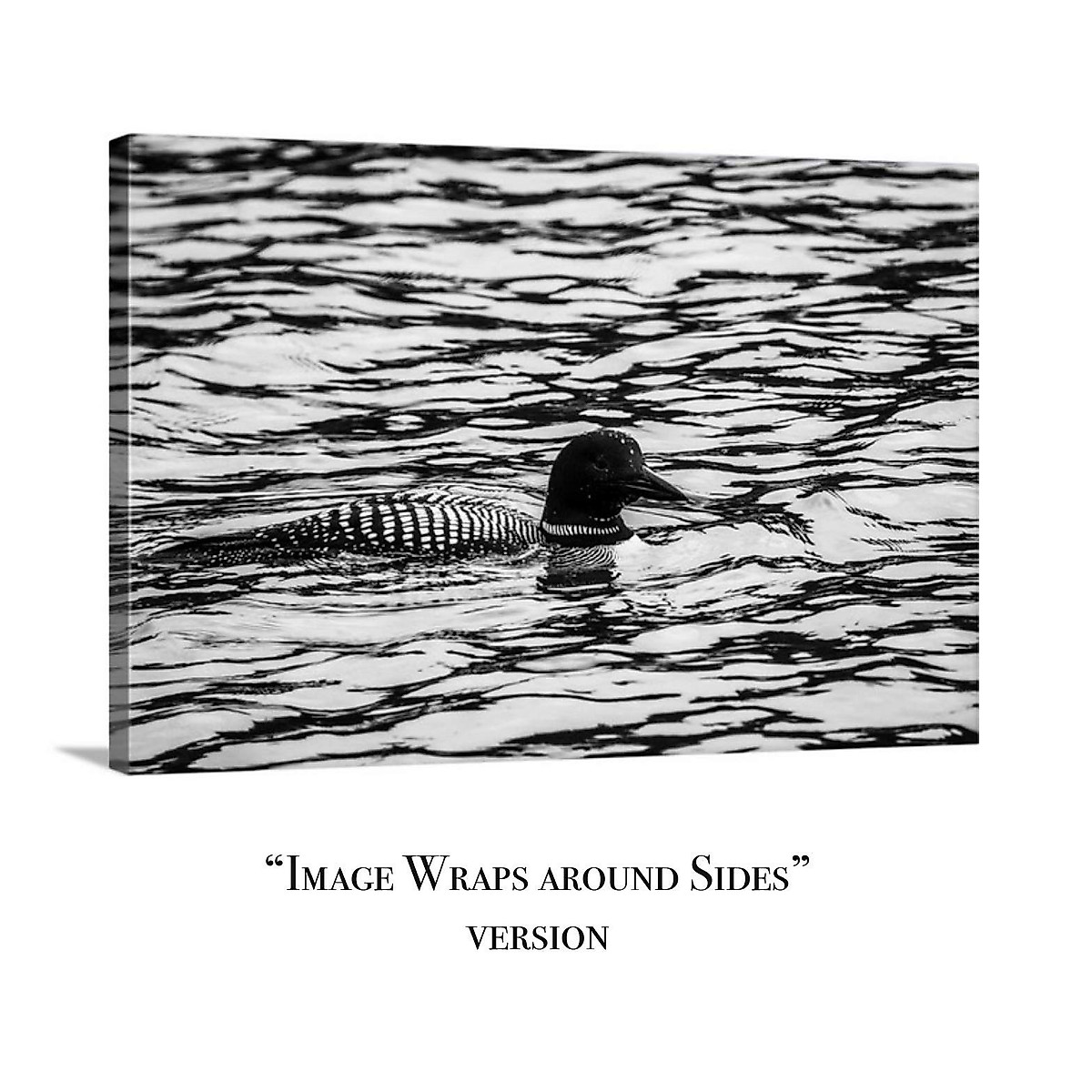 Black and White CANVAS Print Nature Photo Swimming Loon on Water Bird Photography Silver Gray Wall Art Monochrome Home Decor Ready to Hang