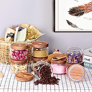 Tzerotone 8 Pcs Spice Containers - 8.5oz Glass Spice Jars With Acacia Airtight Lid and Labels - Stackable Empty Round Spice Bottles for kitchen Seasoning, coffee bean, tea, suger, herbs