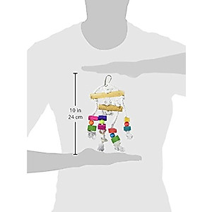 Prevue Pet Products 60935 Bodacious Bites Bird Toy, Small/Medium, Buffet