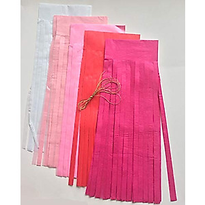 Fonder Mols 25pcs Pink Ombre Tassel Garland DIY Kit- Balloon Tail - Banner - Pink Birthday - Pink Nursery - Bachelorette Party - Baby Girl - Baby Shower - High Chair Decorations A02