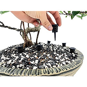 "Bonsai Fertilizer Baskets - 10pcs Pack | Use with Any Granular Fertilizer, Organic or Non-Organic | The Bonsai Supply"