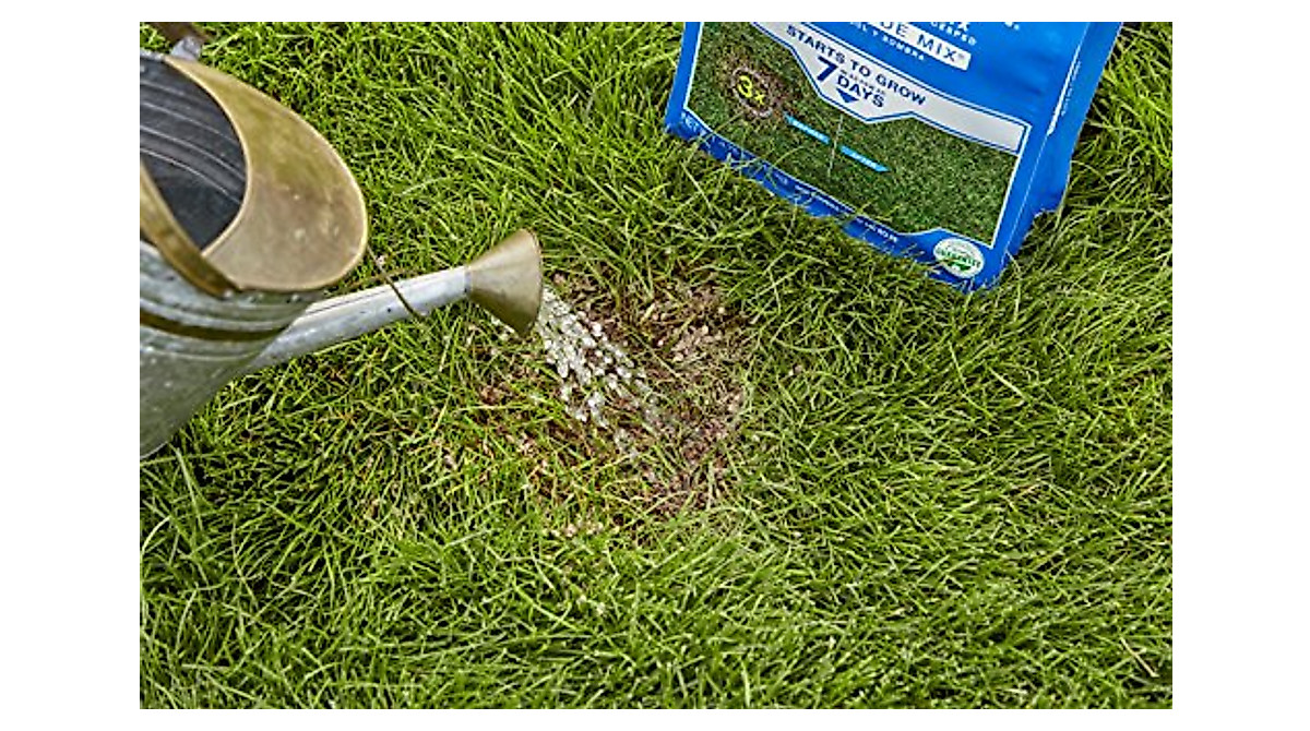 Scotts PatchMaster Lawn Repair Mix - Quick Grass Solutions