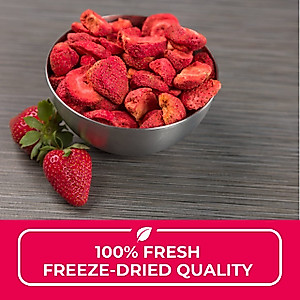 Nutristore Freeze Dried Strawberries | 100% Natural, Healthy Fruit Snacks Bulk | Premium Quality & Crispy Fresh Taste | Emergency Survival Food Supply | #10 Can | 23 Servings | 25 Year Shelf Life