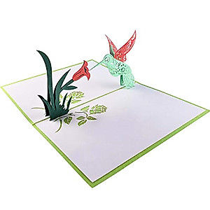 iGifts And Cards Season’s Greetings Hummingbird 3D Pop Up Greeting Card – Merry Christmas, Happy Holidays, Feliz Navidad, Joy, Hope, Unique, Special