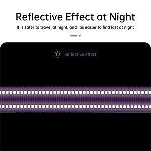 EXCELLENT ELITE SPANKER Strong Durable Nylon Dog Training Leash Traction Rope 5 Feet Long 3/4" Wide with Poop Bag Holder for Small Dogs(Purple)