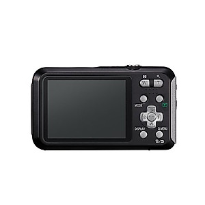 Panasonic Lumix TS20 16.1 MP TOUGH Waterproof Digital Camera with 4x Optical Zoom (Black) (OLD MODEL)
