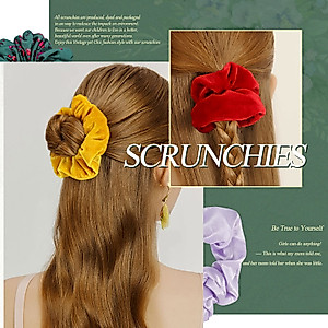 Velvet Hair Scrunchies Hair Bands for Women or Girls,Elastic Soft Ponytail Holder Hair Ties for Birthday, Party, Thanksgiving, Christmas (75)