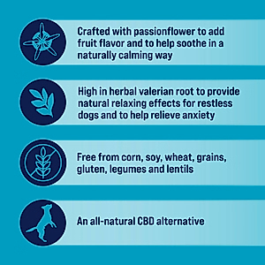 Stewart Freeze Dried Dog Treats, Zen Beef & Pumpkin, Anxiety Relief, Grain Free, 4 Ounce Resealable Pouch, Made in USA