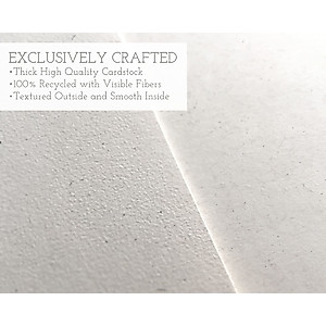 Hill Valley Greetings Vintage Christmas Greeting Card - 24 Antique Textured Style Cards & Envelopes - 12 Unique Retro Holiday Illustrations