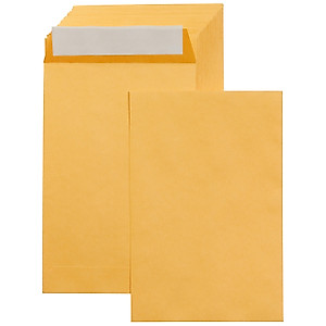 Amazon Basics Catalog Mailing Envelopes, Peel & Seal, 6x9 Inch, Brown Kraft, 100-Pack