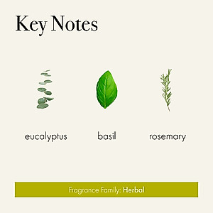 LAFCO New York Classic Candle, Rosemary Eucalyptus - 6.5 oz - 50-Hour Burn Time - Reusable, Hand Blown Glass Vessel - Made in The USA