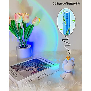 NEWHCTE RL001 Sunset Lamp Projection, 7 RGB Colors Changing Projector LED Lights Floor Lamp, 360 Degree Rotation USB Rechargeable Sunset Lamp for Party/Bedroom/Home