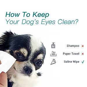 Winner Sterile Saline Wipes, 6" x 8" Large Personal Care Wipes, Gentle Saline Pads for Piercings, Multi-Purpose for Sensitive Eyes and Face, Individually Wrapped, 70 Count