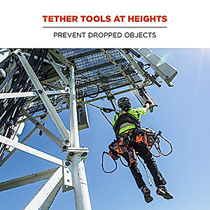 Ergodyne - 19002 Squids 3100 Tool Lanyard with Single Carabiner and Adjustable Loop End, Standard Length, Black