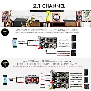 Nobsound G2 PRO Hi-Fi 300W Subwoofer Power Amplifier Mono Channel Class D SUB Audio Amp