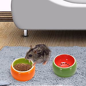 Hamiledyi 2PCS Hamster Bowl,Ceramic Food Water Feeding Dish for Guinea Pigs Gerbil Mouse Rat Chinchilla Hedgehog Sugar Glider