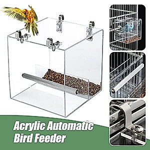 Automatic Bird Feeder No Mess Bird Cage Pet Feeder Seed Food Container for Parakeet Canary Cockatiel Parrot Finch Canary Acrylic (Small)