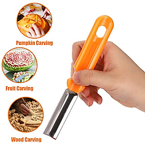 Youeon 10 Pcs Halloween Pumpkin Carving Kit with Carrying Case, Professional Stainless Steel Carving Tools for Halloween Decoration, Pumpkin Carving Tools Set