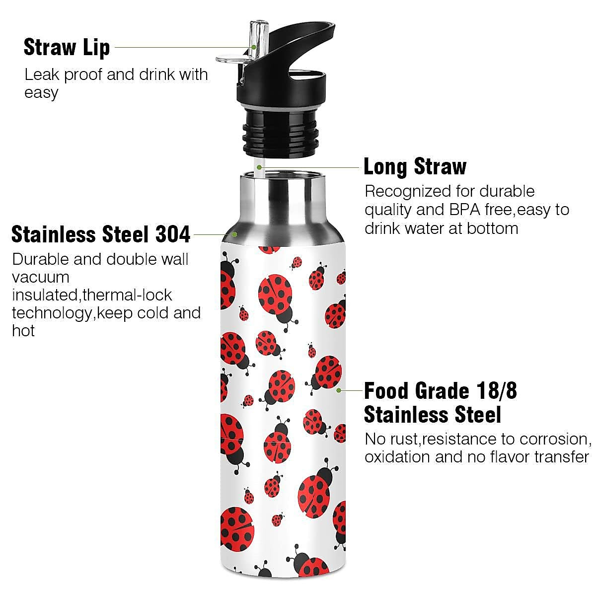 xigua Ladybug Water Bottle Double Walled Stainless Steel Leak Proof Thermo Flask for Sports Gym Cycling Outdoor,33 oz.