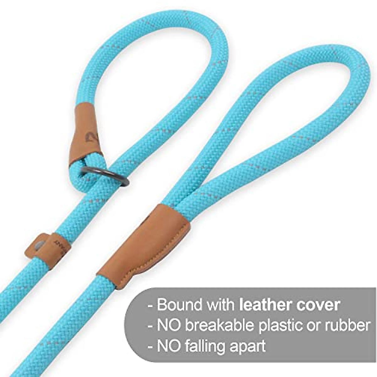 Slip Lead Dog Leash, Reflective Mountain Climbing Rope Leash, Dog Training Leash – 5FT, 2 Sizes (Medium, Turquoise)
