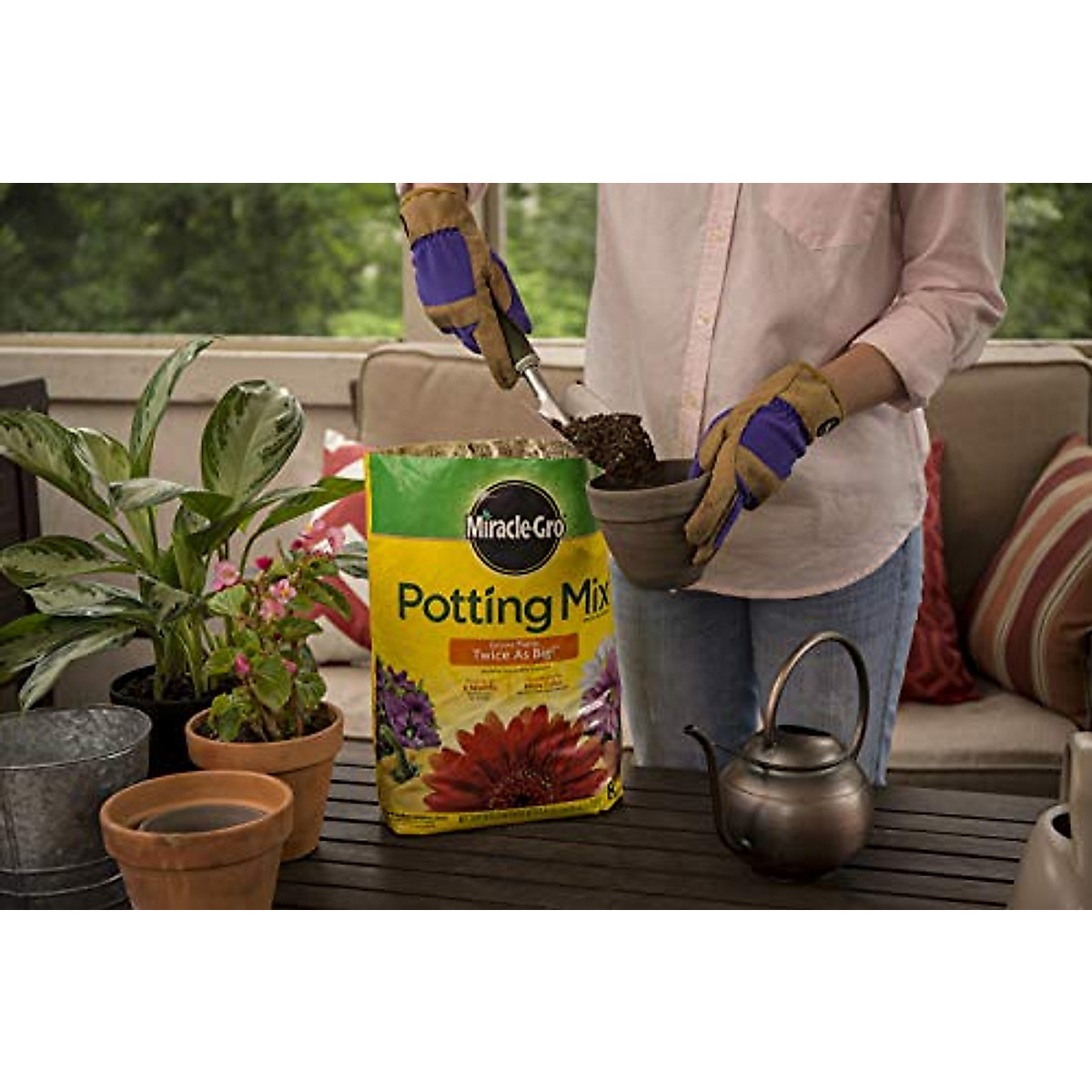 Miracle-Gro Potting Mix, 8 qt. (2 Pack)
