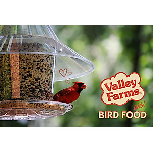 Valley Farms Hi-Flite Wild Bird Food for Outside Feeders- Best Value Economy Wild Bird Seed for All Species of Birds with Black Oil Sunflower, 5 LBS 2-Pack (10 LBS Total)