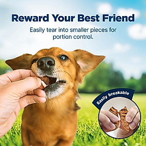 Blue Buffalo Nudges Grillers Natural Dog Treats Made with Real Chicken, Made in the USA, Chicken, 10-oz. Bag