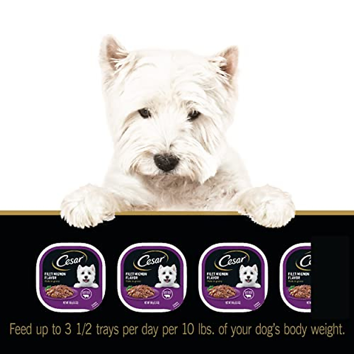 CESAR Adult Soft Wet Dog Food Filets in Gravy Filet Mignon Flavor, (24) 3.5 oz. Trays