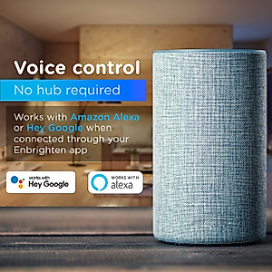 Enbrighten, White, Wi-Fi Smart Light Switch, Indoor Oval Plug-in, 2-Grounded Outlet, Simultaneous Control, No Hub Required, 51253