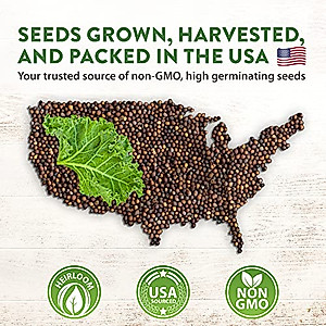 Lettuce & Salad Greens Seed Vault - 4,000+ Non-GMO Vegetable Seeds for Outdoors or Indoors - Romaine, Iceberg Lettuce Seeds for Planting, Kale Spinach & More: Hydroponic Home Garden Seeds (8 Variety)