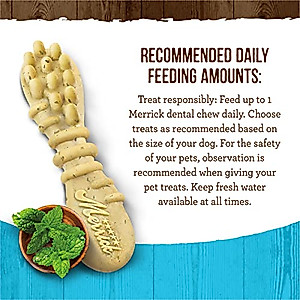 Merrick Fresh Kisses Natural Dental Chews, Toothbrush Shape Treat Infused With Real Mint, For Large Dogs - 22 ct. Box