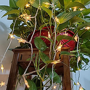 KUKIKUKI Outdoor Decorations String Lights - 32.8 ft 80 LED Warm White Battery Operated String Lights Waterproof for Outdoor Garden Patio Party Xmas Tree Decor Bedroom Indoor Home (Star Lights)