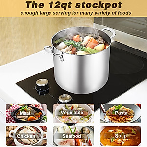 TeamFar 12 Quart Stock Pot, 18/10 Stainless Steel Large Cooking Soup Pot with Lid for Simmering/Stewing, for Induction/Gas/Ceramic, Healthy & Heavy-Duty, Riveted Handles & Dishwasher Safe