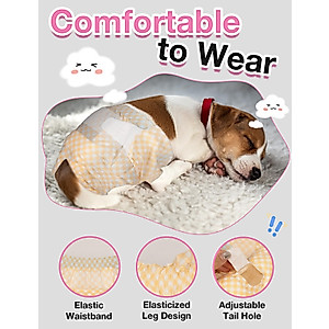 Dono Dog and Cat Diapers Female-60PCS, Disposable Female Dog Period Diapers for Heart with Wetness Indicator, Super Absorbent Doggie Puppy Diapers Female for XXS,Small Medium Large Dogs