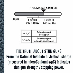 SABRE 2-in-1 Stun Gun with Flashlight and Anti-Grab Bar Technology, Painful 1.250 µC Charge, 120 Lumens, Rechargeable Battery, Safety Switch, Includes Wrist Strap and Belt Holster