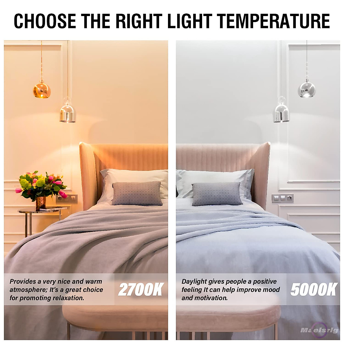 LED 12V Light Bulb, 100W Equivalent, Daylight White 5000K, 13W 1200 Lumens, 12 Volt AC/DC, Non-Dimmable E26 Base, Low Voltage Light Bulbs for Boat, RV, Shed, Off Grid Cabin, and Solar Power, 4-Pack