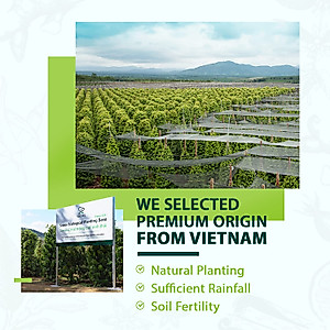 Soeos Black Peppercorns, 16oz (Pack of 1), Non-GMO, Kosher, Packed to Keep Peppers Fresh, Peppercorn for Grinder Refill, Whole Peppercorns