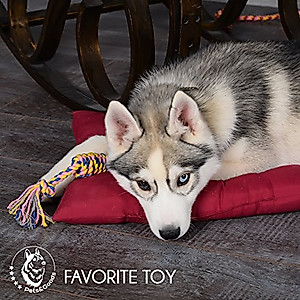 Dog Chew Toys - Puppy Teething Toys- Puppy Chew Toys - Rope Dog Toy - Puppy Toys - Small - Dog Toy Pack - Tug Toy - Dog Toy Set - Washable Cotton Rope for Dogs