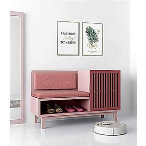 N/A Fashion Shoe Cabinets Minimalist Multi-Function Shoe Changing Stool Porch Partition Hall (Color : Black)