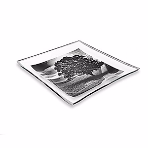 GAC Unique Landscape Design Square Tempered Glass Serving Plates – 10.5 Inch – Set of 2 – Break Resistant – Oven Proof - Microwave and Dishwasher Safe – Attractive Charcoal Colored Dinner Plate Set
