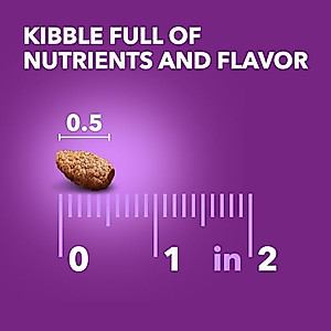 IAMS Advanced Health Adult Healthy Digestion Dry Dog Food with Real Chicken, 27 lb. Bag