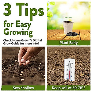 8 Onion Seeds for Planting - 1600 Heirloom Onion Seeds - Green Onion, Sweet Onions, Vidalia, Spanish, Yellow and Red Onion Vegetable Seeds for Planting and More