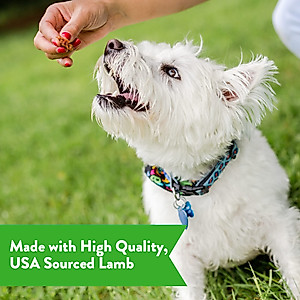 DOGSWELL Gut Health Meaty Jerky Dog Treats, Lamb, 10 oz. Pouch