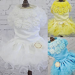 Pet Wedding Dress Round Neck Good Teddy Dog Lace Style Wedding Dress Pet Apparel Blue XL