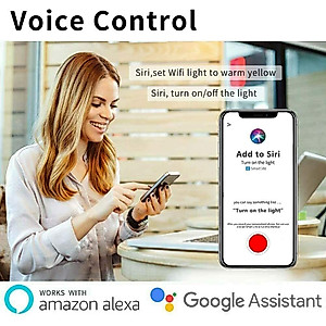 Smart WiFi Light Bulbs SAUDIO LED RGB Color Changing Bulbs Alexa, Echo Google Home & Siri Compatible 2.4GHz WiFi Only No Hub Required, 8W A19 E26 Multicolor 4 Pack