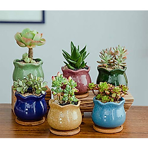 Lawei 20 Pack Bamboo Plant Saucers - 3.34 Inch Round Plant Succulent Pot Tray for Succulent Plant Flower Pot Holding Drainage Water