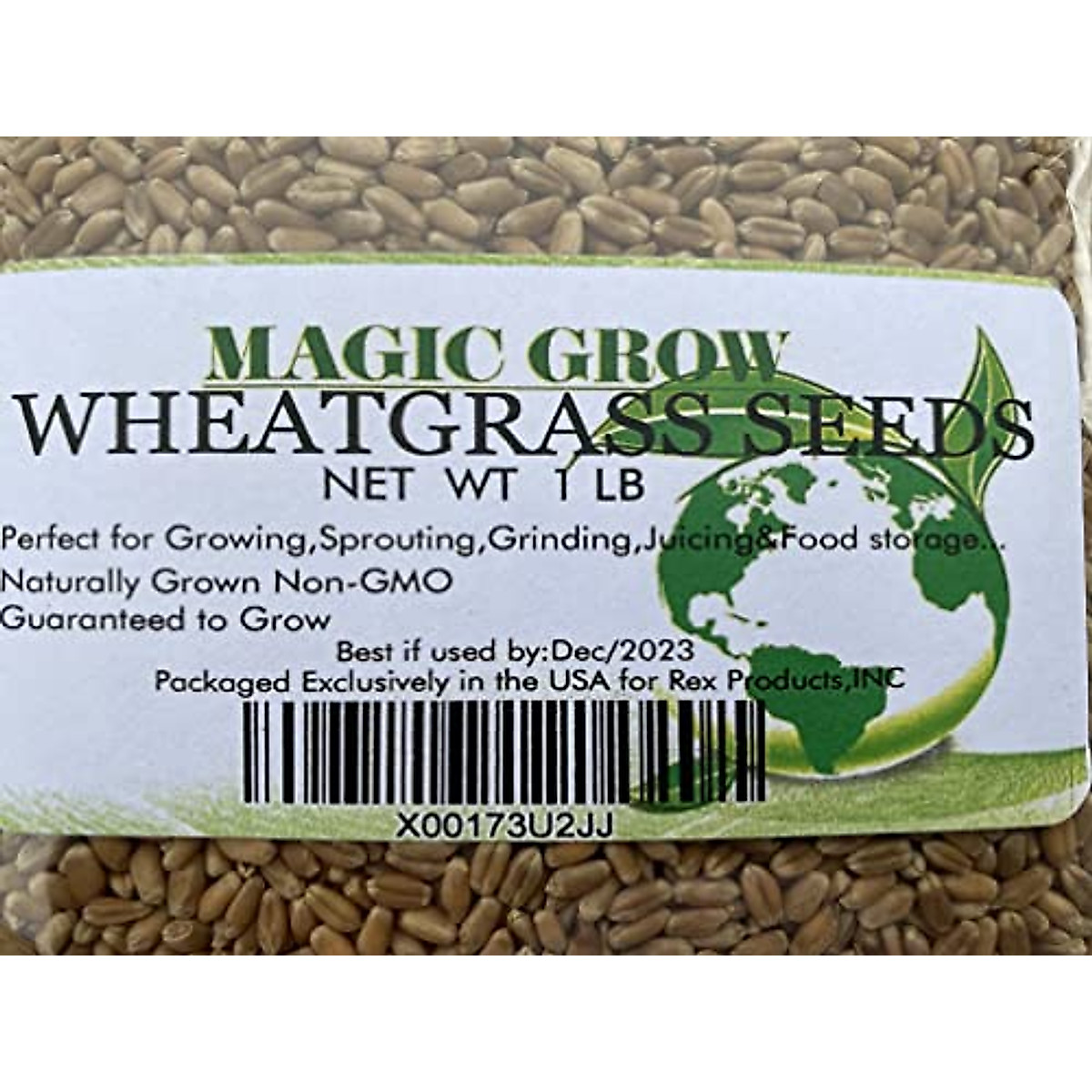 Wheat Grass Seed 1lb - Guaranteed to Grow