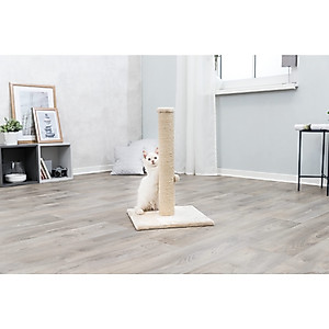 TRIXIE Parla Cat Scratching Post 24.4 Inch - Cat Scratcher with Soft Fabric Covering Base and Durable Sisal Rope - in Beige