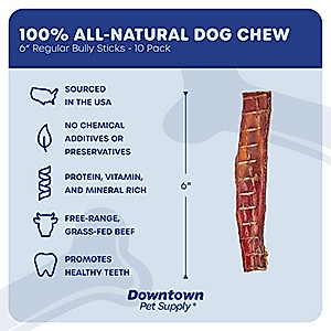 Downtown Pet Supply USA Sourced 6", 10 Pack Bully Sticks for Large Dogs, Regular - Rawhide Free Dog Chews Long Lasting and Non-Splintering - Single Ingredient, Low Odor Bully Sticks for Medium Dogs