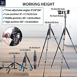 Carbon Fiber Tripod-INNOREL GT324C Professional Compact Tripod for DSLR Camera Heavy Duty Stand with Low Gravity Center Ball Head Special-Shaped Center Column Max Load 55lbs/25kg